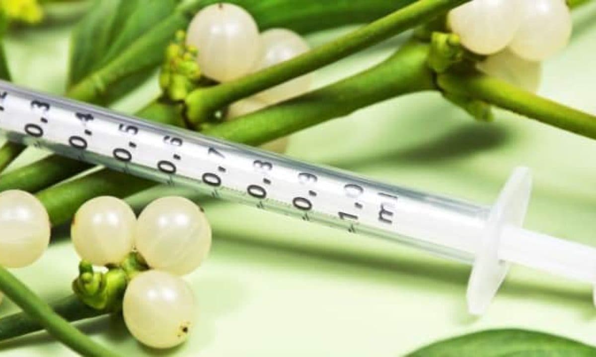 Mistletoe Therapy - Center for New Medicine